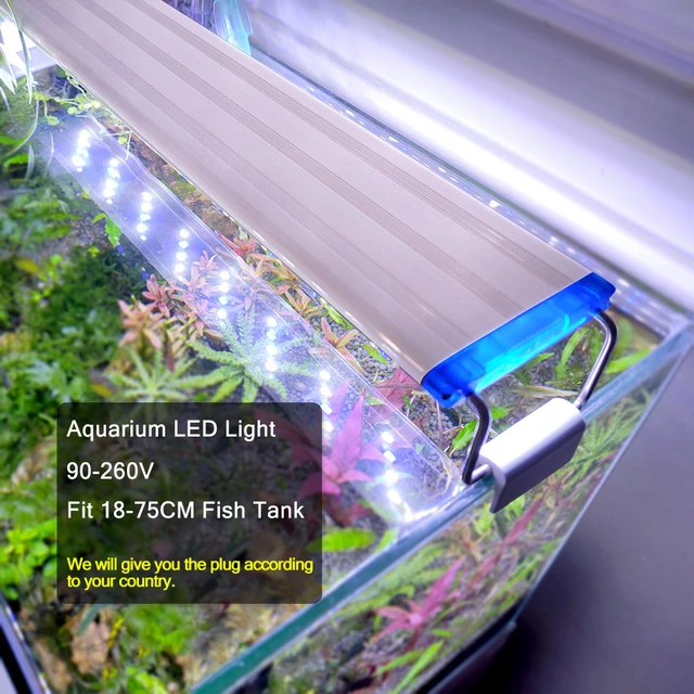 20 DIY Aquarium Light Ideas To Illuminate Your Fish Tank, 56% OFF