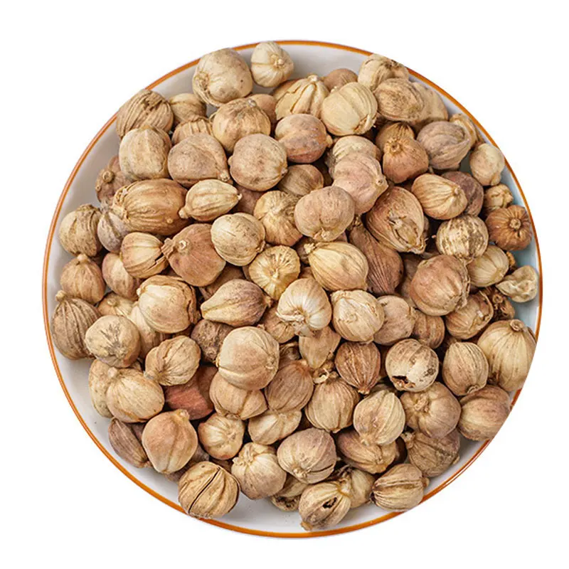 Amomum Cars, Amomi Fructus Rotundus,Amomum kavanh, cardamomo redondo ...