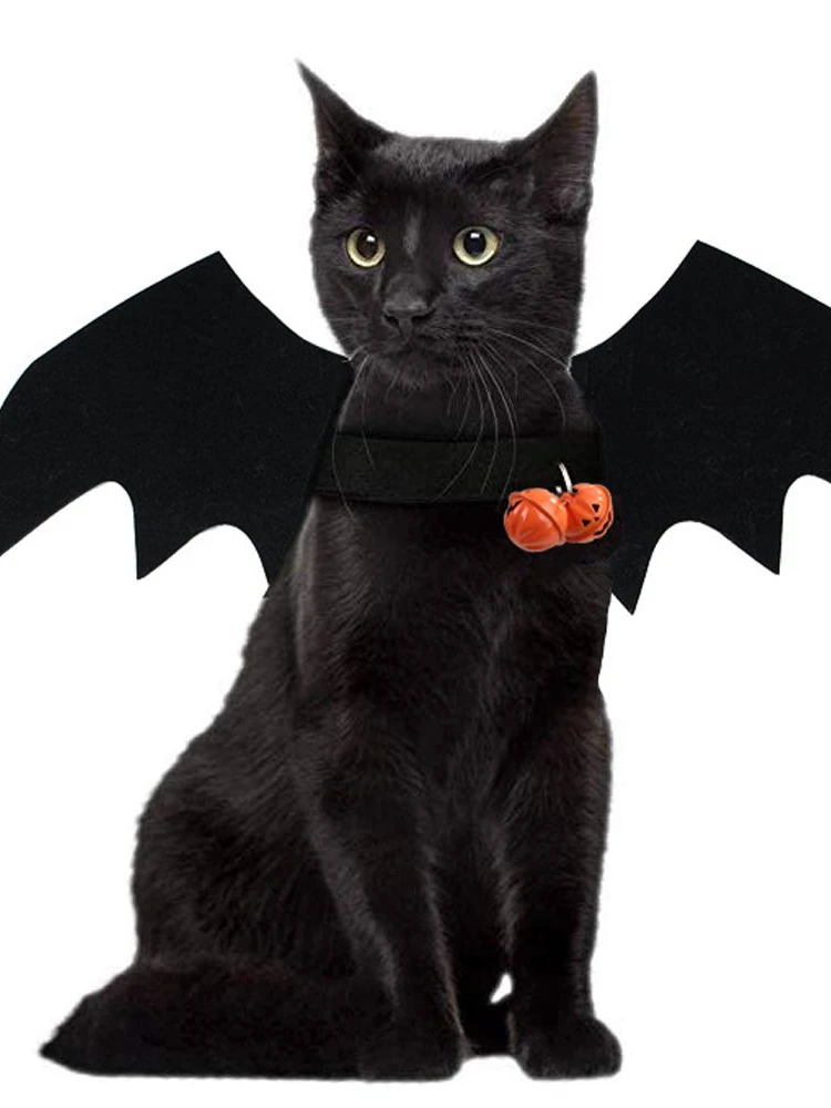 Cat-Dog Bat Wings Costume | That's So Fetch!