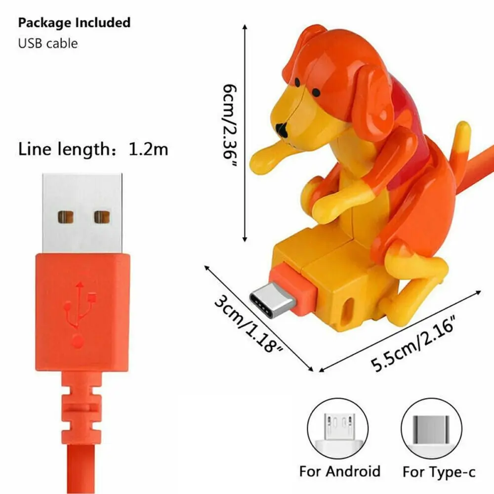 Son Seguros Los Cables Para Perros