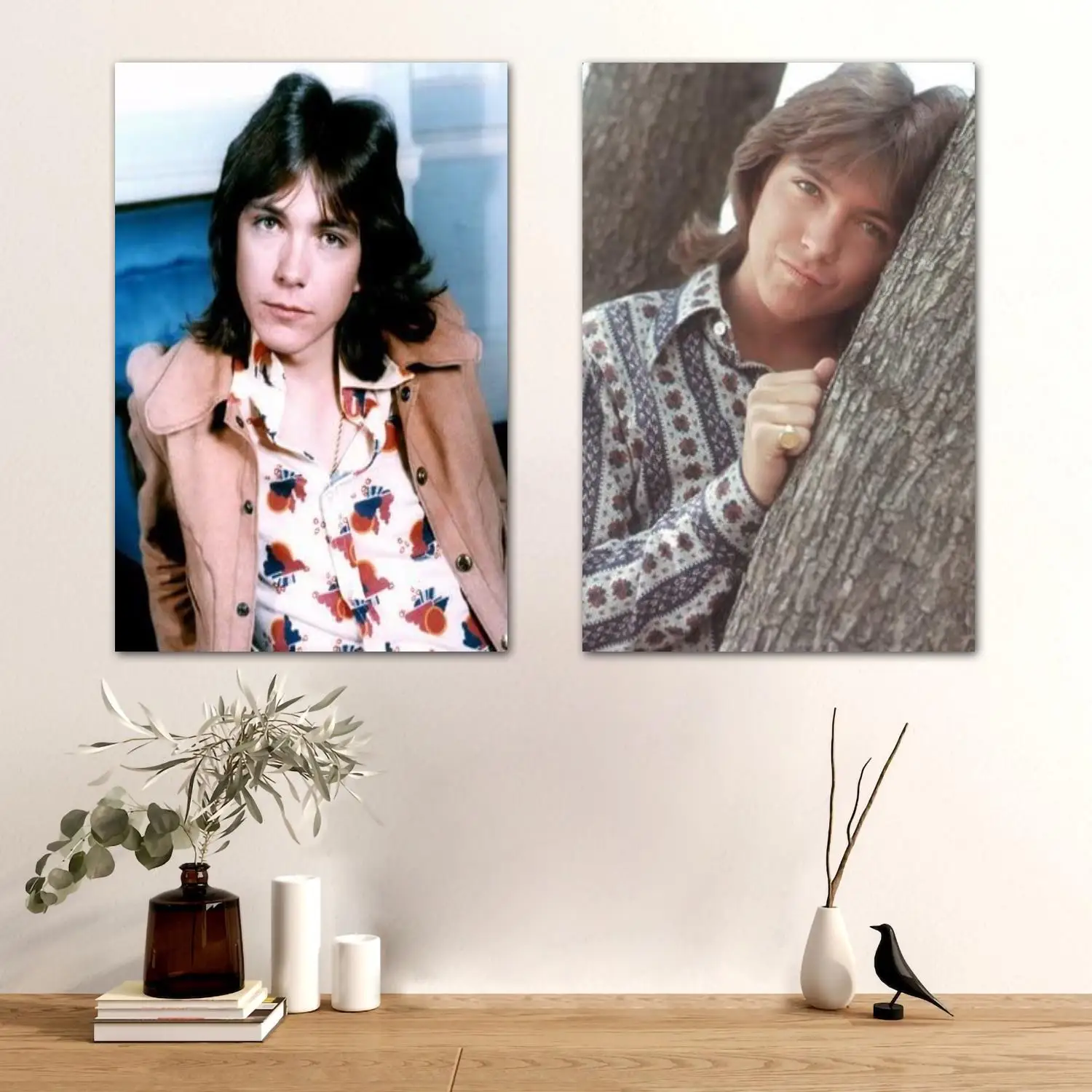 David Cassidy Poster