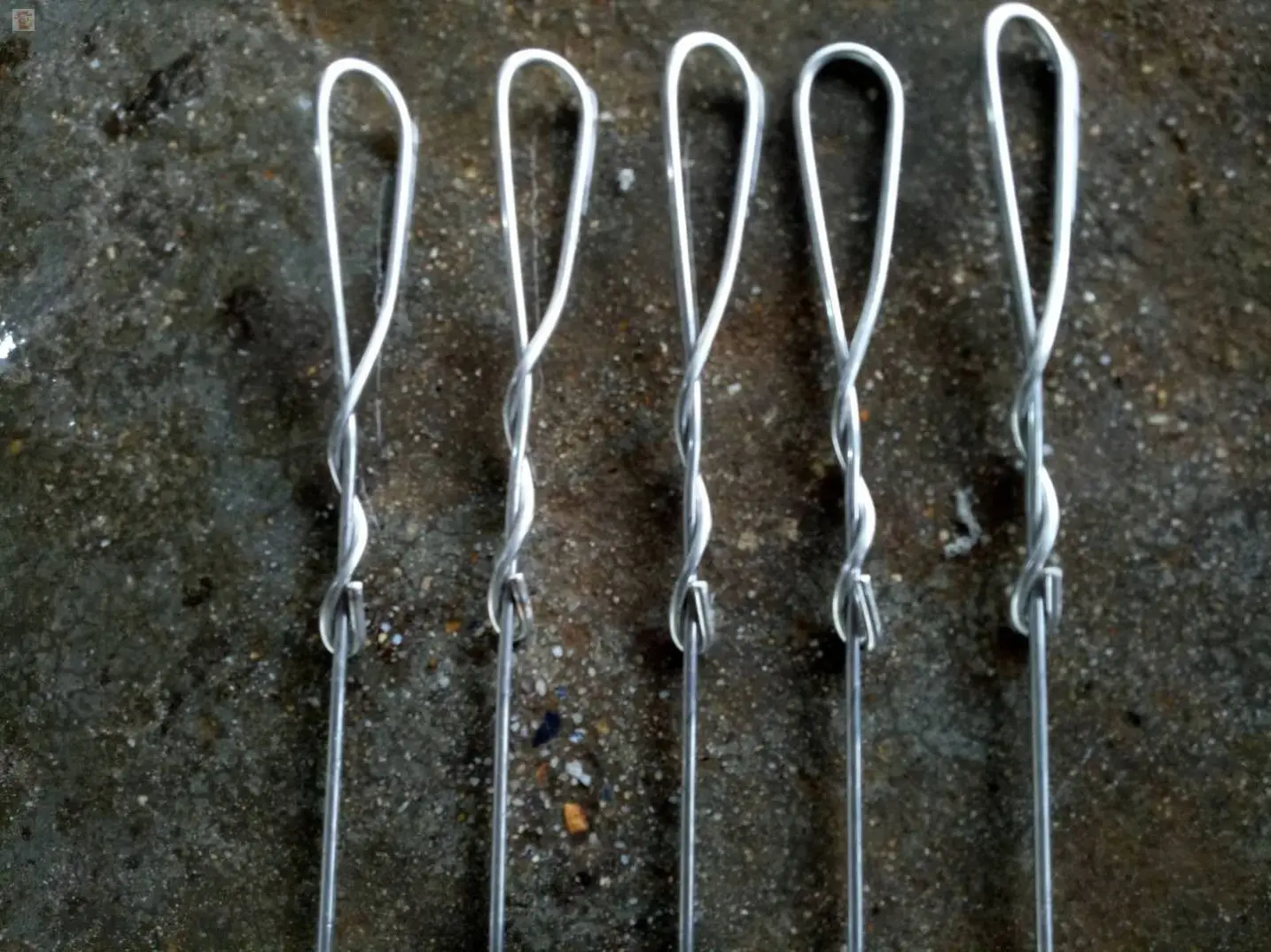 Chicken Catcher Tool