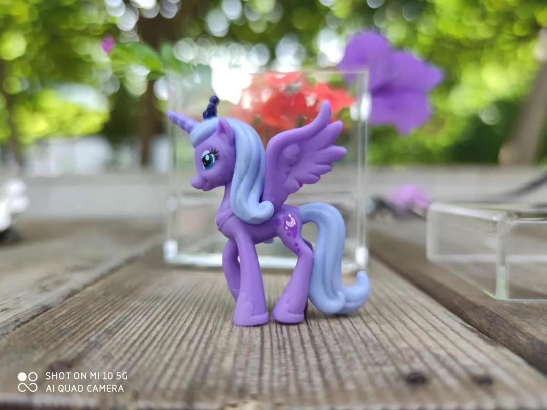 Princess Luna And Princess Cadence