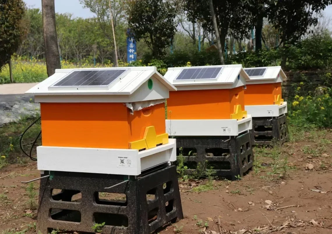 Automatic-Self-Flowing-Bee-Hive-Apiculture-Beekeeping-Beehive-Bee-Hive ...