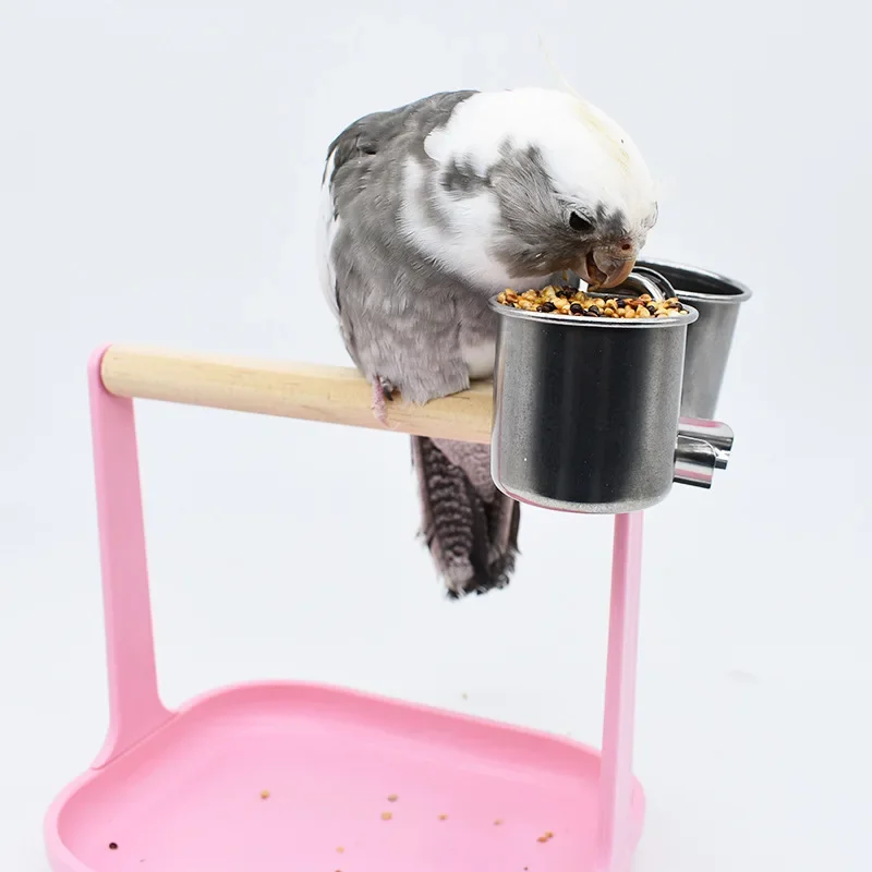 Parrot-pole-tabletop-small-stand-bird-stick-bird-stand-food-cup ...