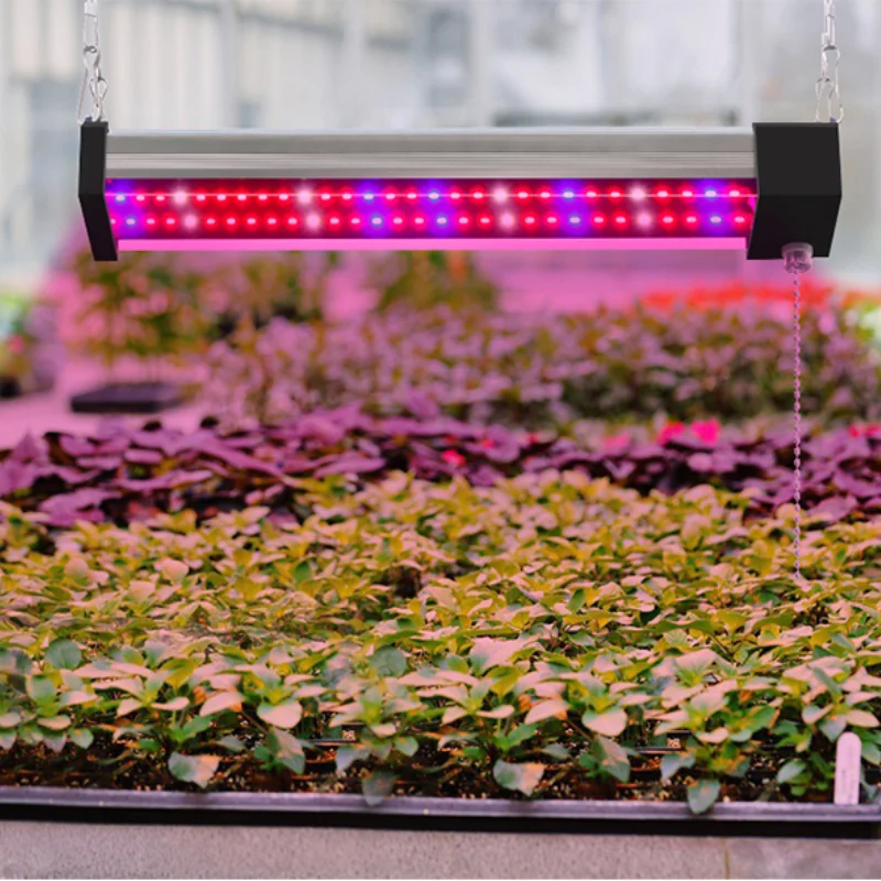 30-50CM-Double-Row-Full-spectrum-LED-quantum-plate-plant-growth-light ...
