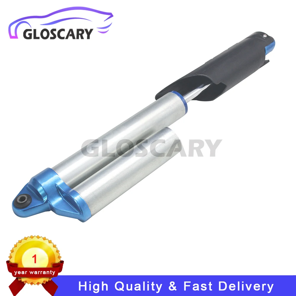 Rear-L-R-Suspension-Shock-Absorber-Strut-For-Ford-F150-SVT-Raptor-STX ...