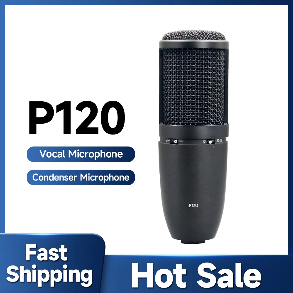 P120-High-Performance-General-Purpose-Recording-Microphone-Noise ...