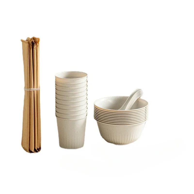L-Disposable-tableware-set-for-10-people-Bowls-plates-bowls-chopsticks ...