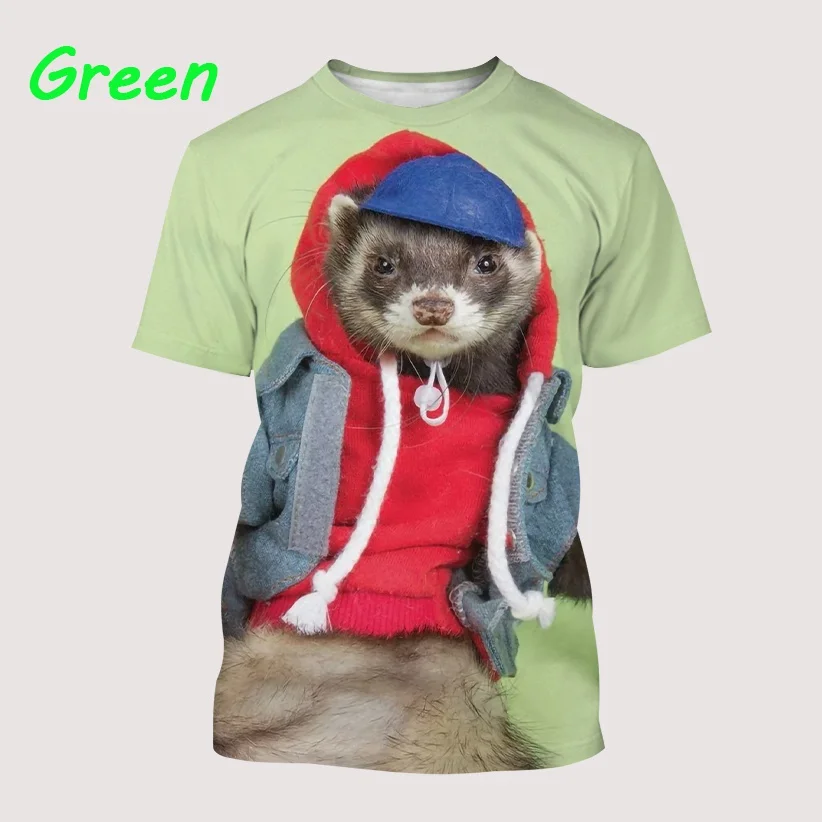 Ferrets Wearing Clothes