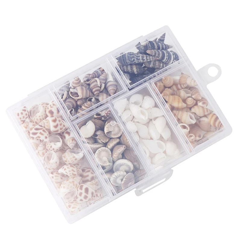 Conchas-naturales-de-concha-1-3cm-1-caja-Mini-conchas-de-ma-z-tornillo ...