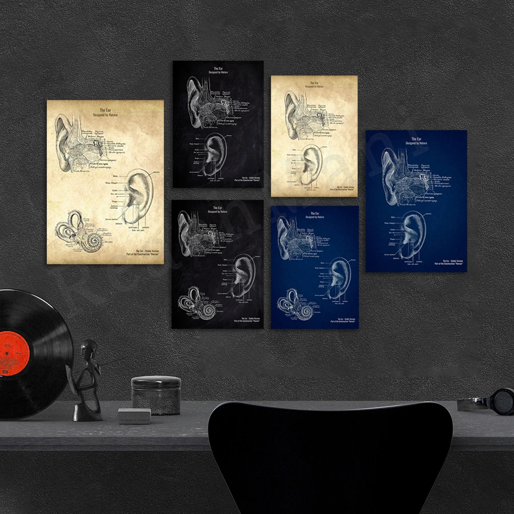 Kulak-anatomisi-patent-poster-kulak-anatomisi-posteri-i-kulak-diyagram ...