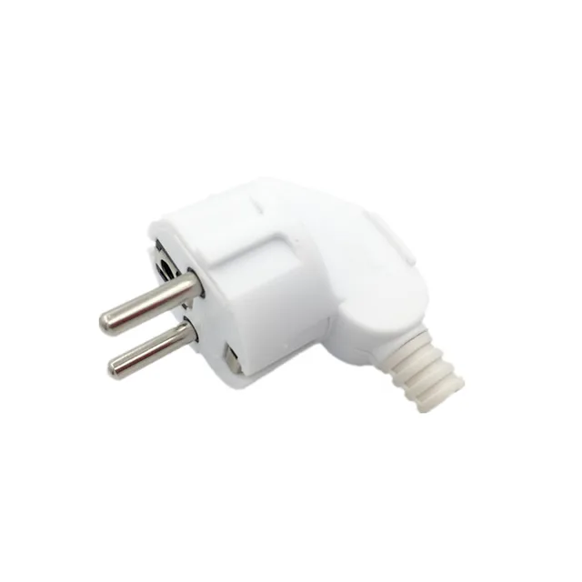 Bolantedz Official Store