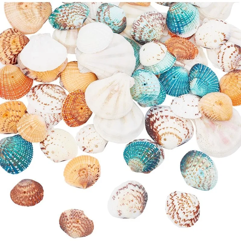 40 Pcs 4 Styles Drilled Shell Mix Sea Shells Dyed Natural Mixed Shell ...