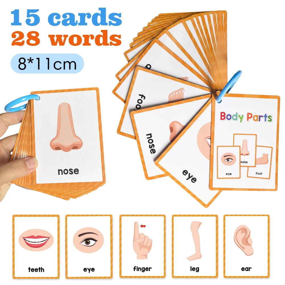 15-Cards-Children-Body-Parts-Cognitive-Card-Montessori-toys-Flash-Cards ...