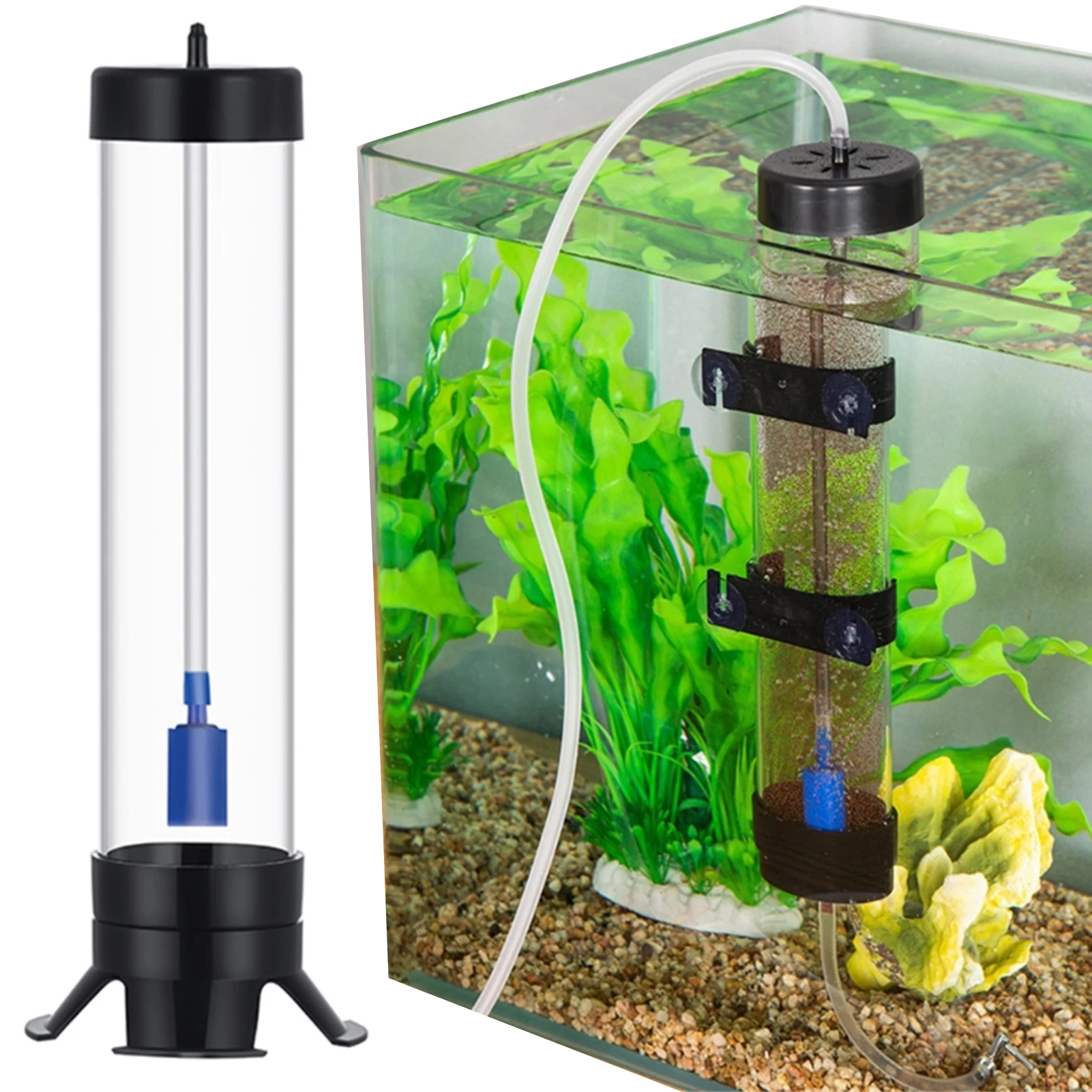 Small Brine Shrimp Tanks