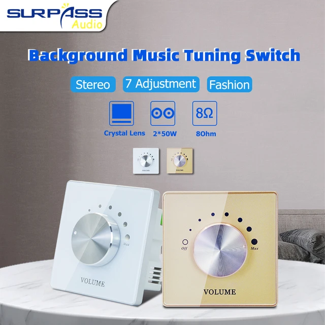 Audio Volume Control Switch