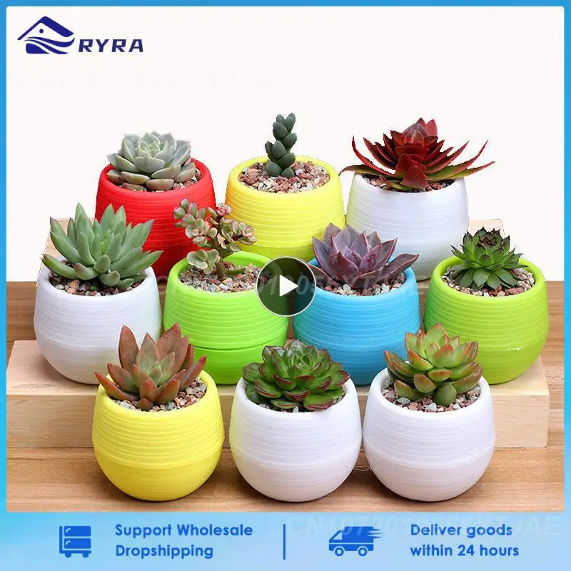 Colorful-Mini-Potted-Plant-Pot-For-Office-Decoration-Flower-Plant-Pots ...