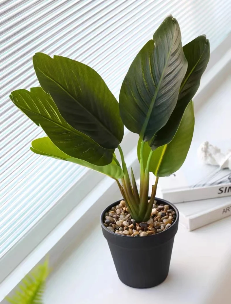 Type 2 Ajouter une carte TF 32G-Mini caméra HD 1080P pour plante ...