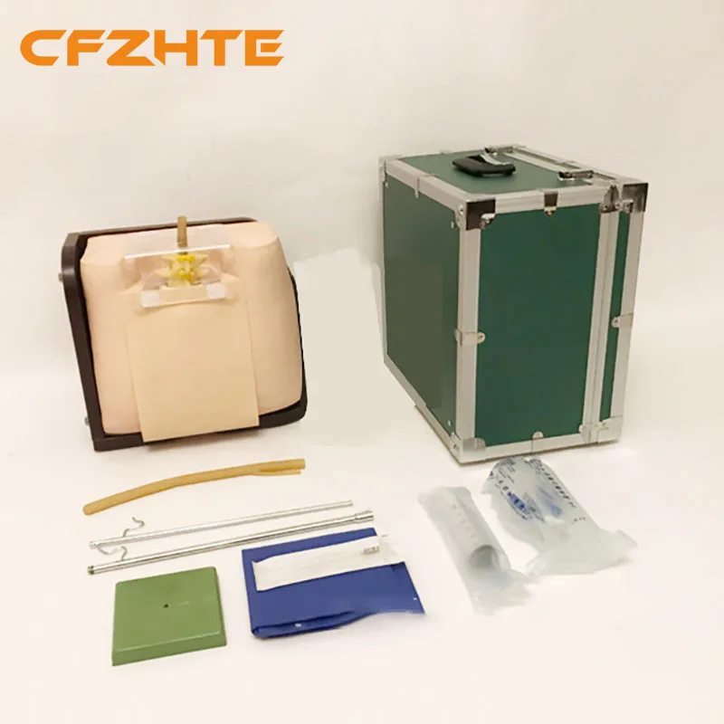 Spinale-Punctie-Model-Spinale-Epidurale-Sacrale-En-Lumbale-Anesthesie ...