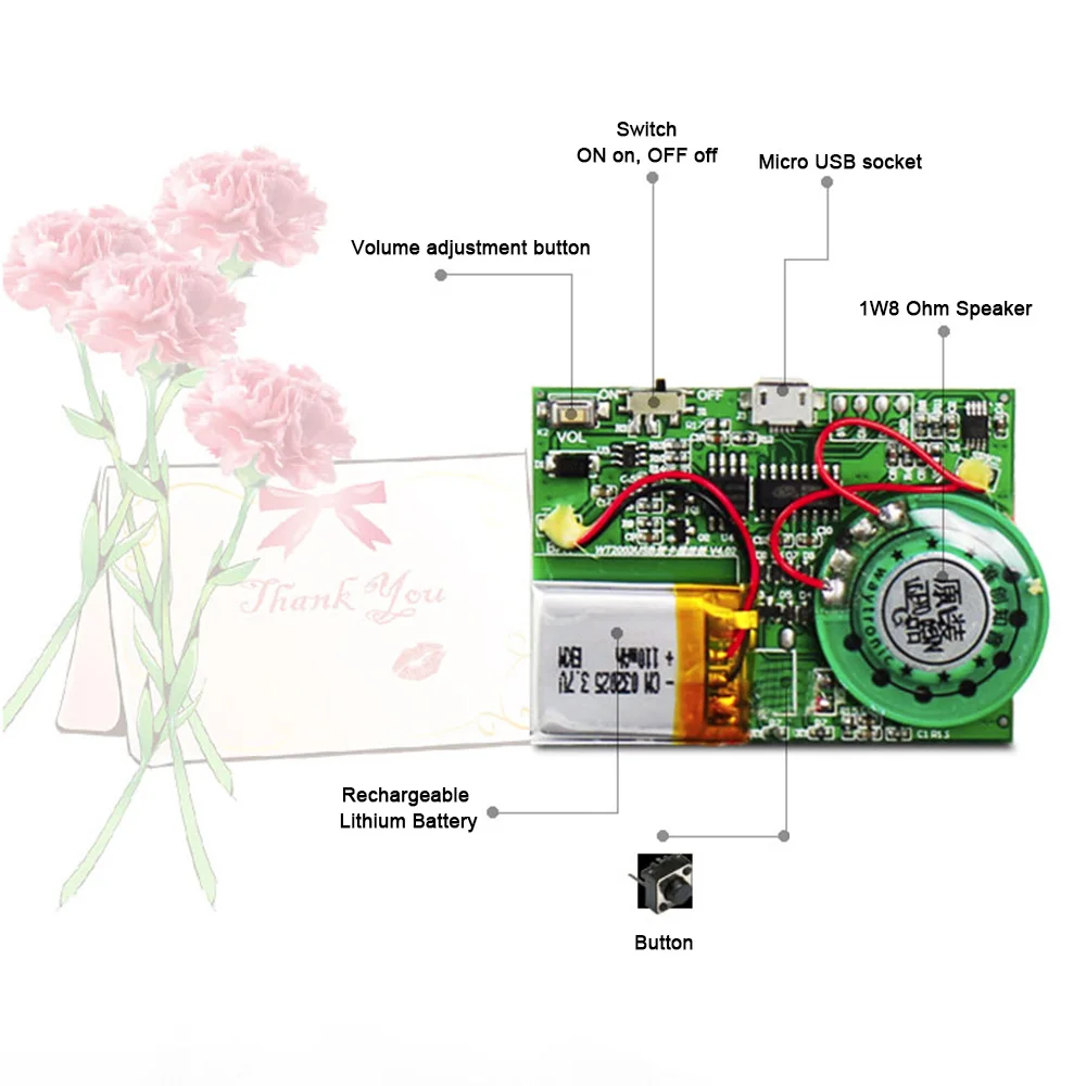 Global Instrument Store