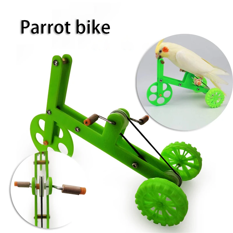 Parrot Training Toy Mini Bicycle Bike Bird Play Toy Funny Bird Training ...