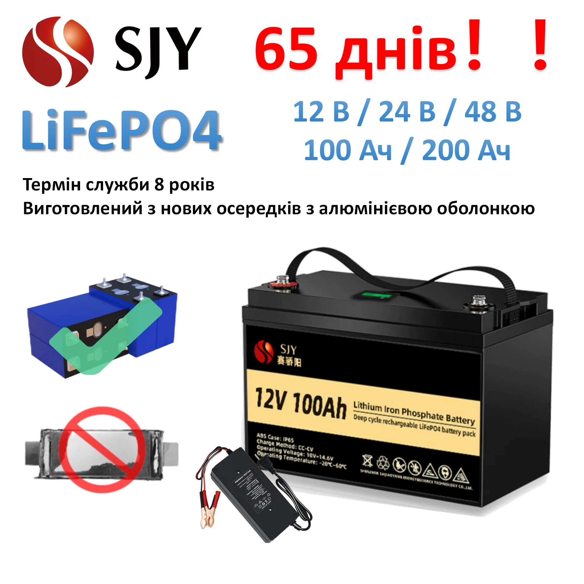12V-24V-48V-LiFePO4-Battery-100AH-Pack-Lithium-Iron-Phosphate-for ...
