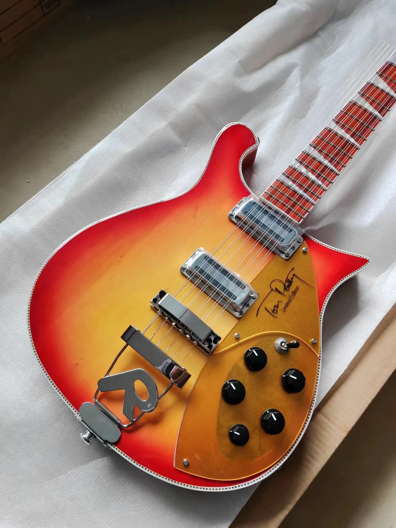 High-end-12-string-electric-guitar-very-high-end-and-classy-with-great ...