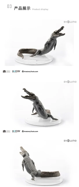 PNSO 83 Tyrannotitan Mateo Model Allosaurus Dinosaur Prehistoric Animal ...