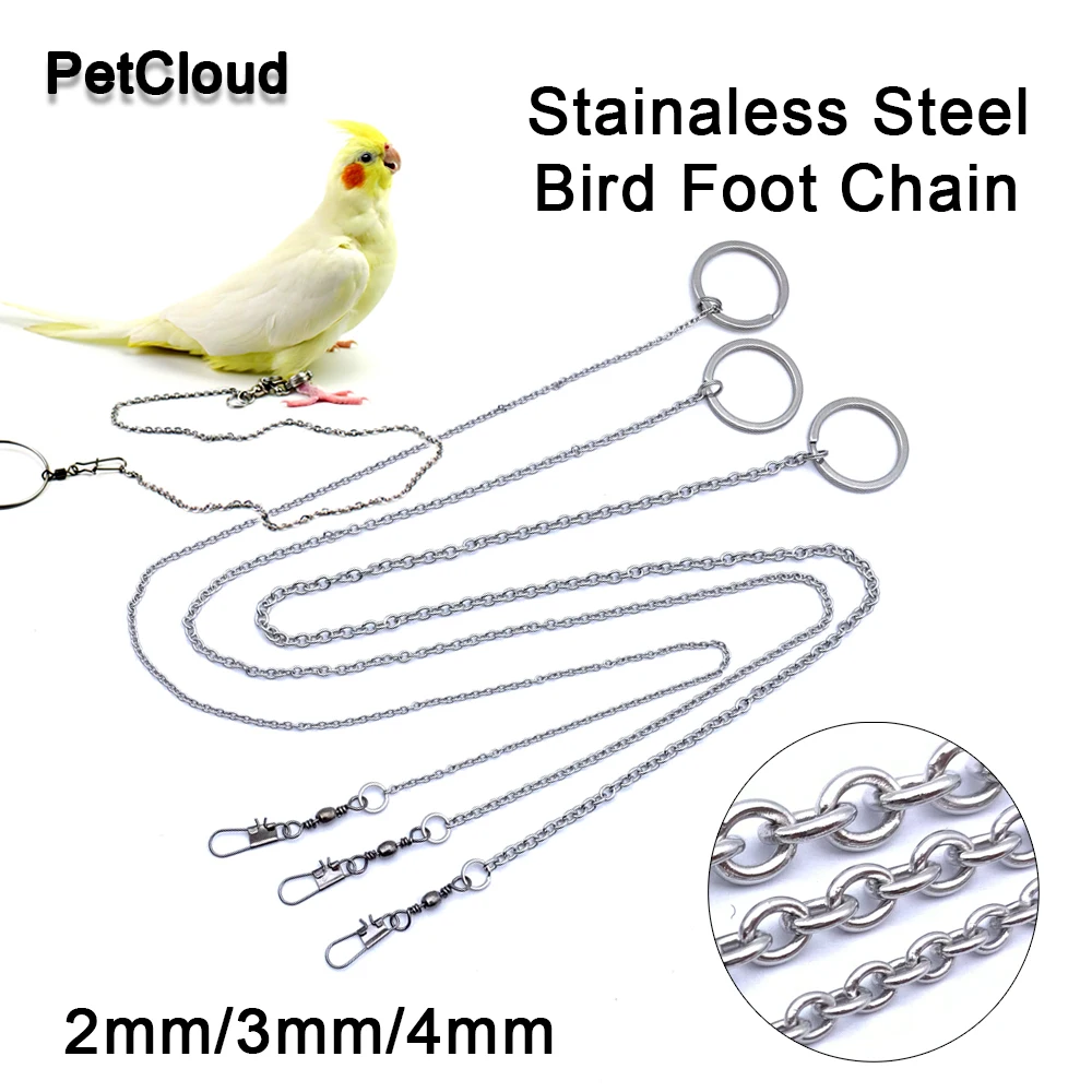 Stainless-Steel-Parrot-Foot-Chain-Bird-Ankle-Foot-Ring-Stand-Chain ...