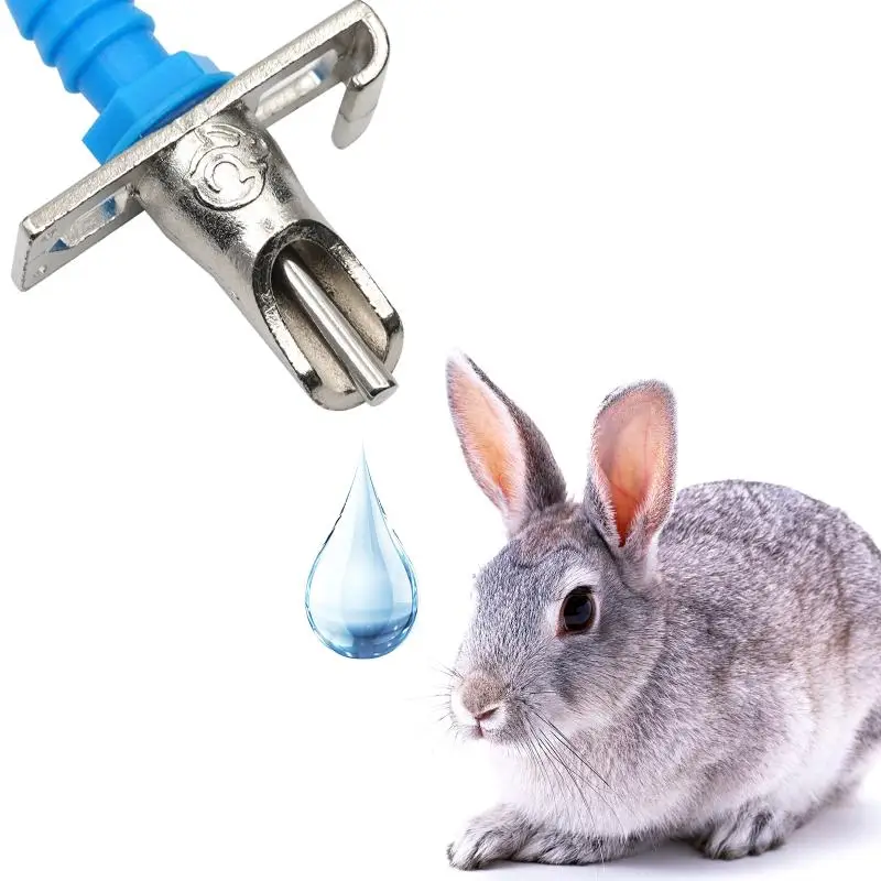 5 Nipple Drinkers Rabbit | Rabbit Drinking Water Nipple - 10/15/20pcs ...