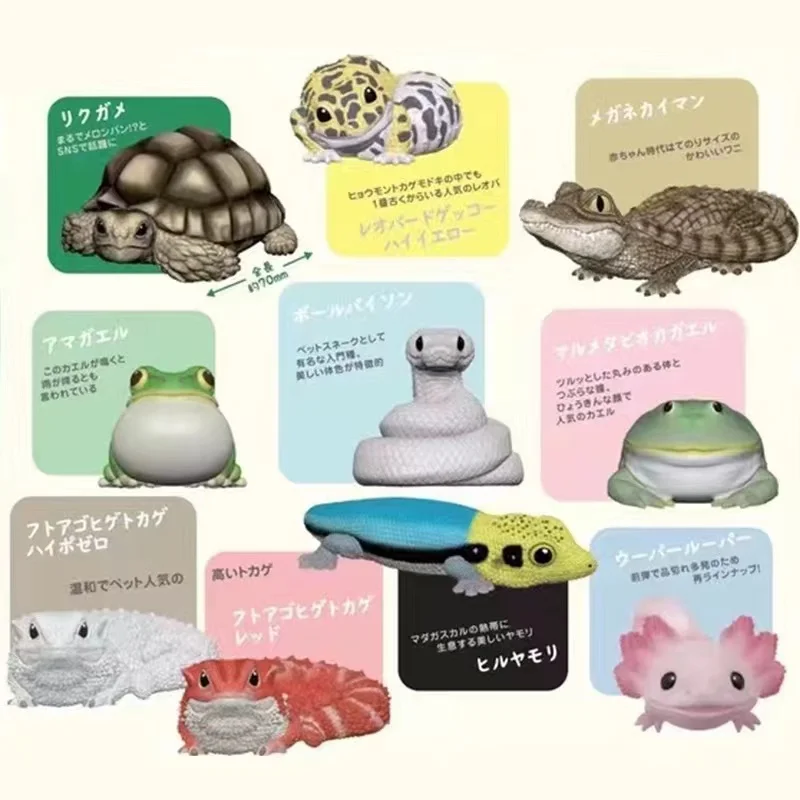 Japanese-Bandai-Genuine-Scale-Model-Palm-Animal-Tortoises-Caiman ...