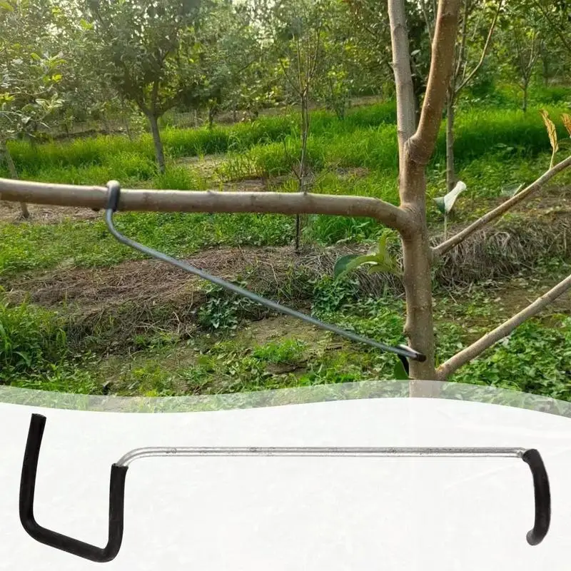 10pcs Fruit Branch Bending Spreader Farm Limb Frame Yard Trees Branches ...