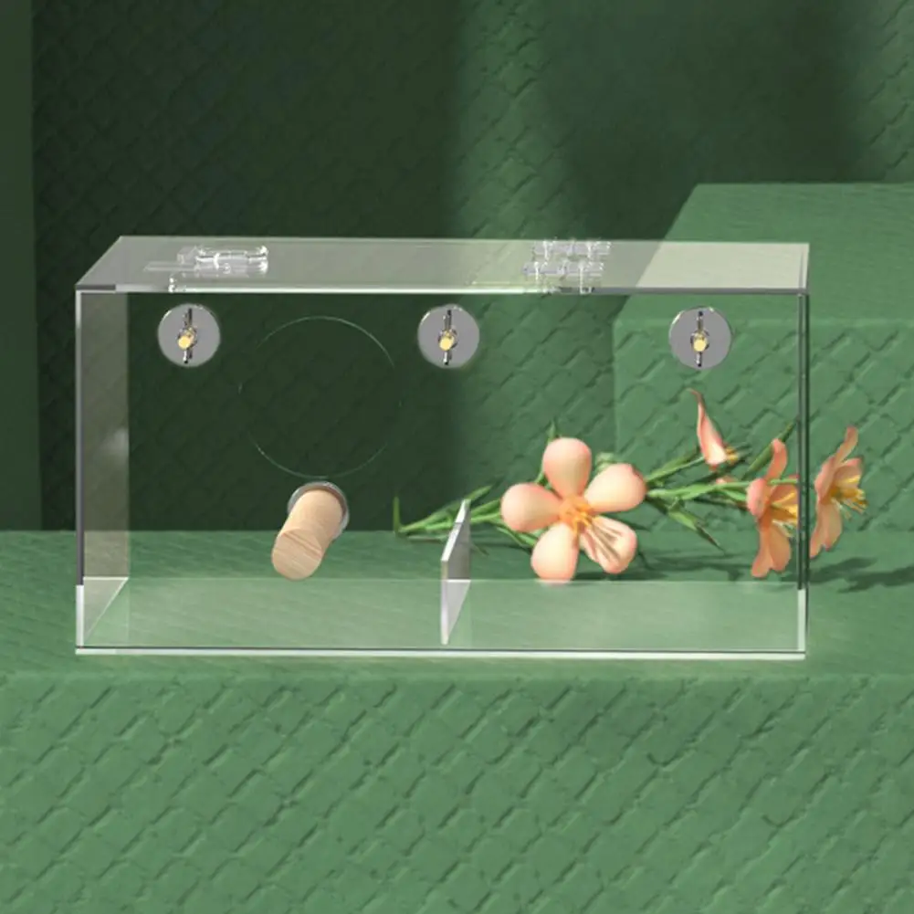 Acrylic Parrot Breeding Cage | Bird Breeding Cages Houses | House ...