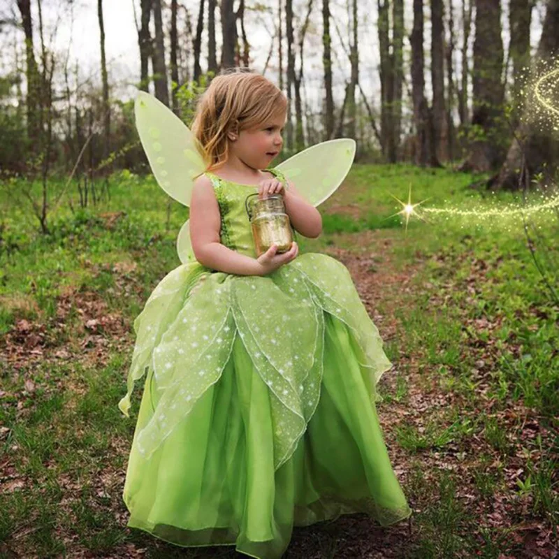 Vidia Fairy Costume