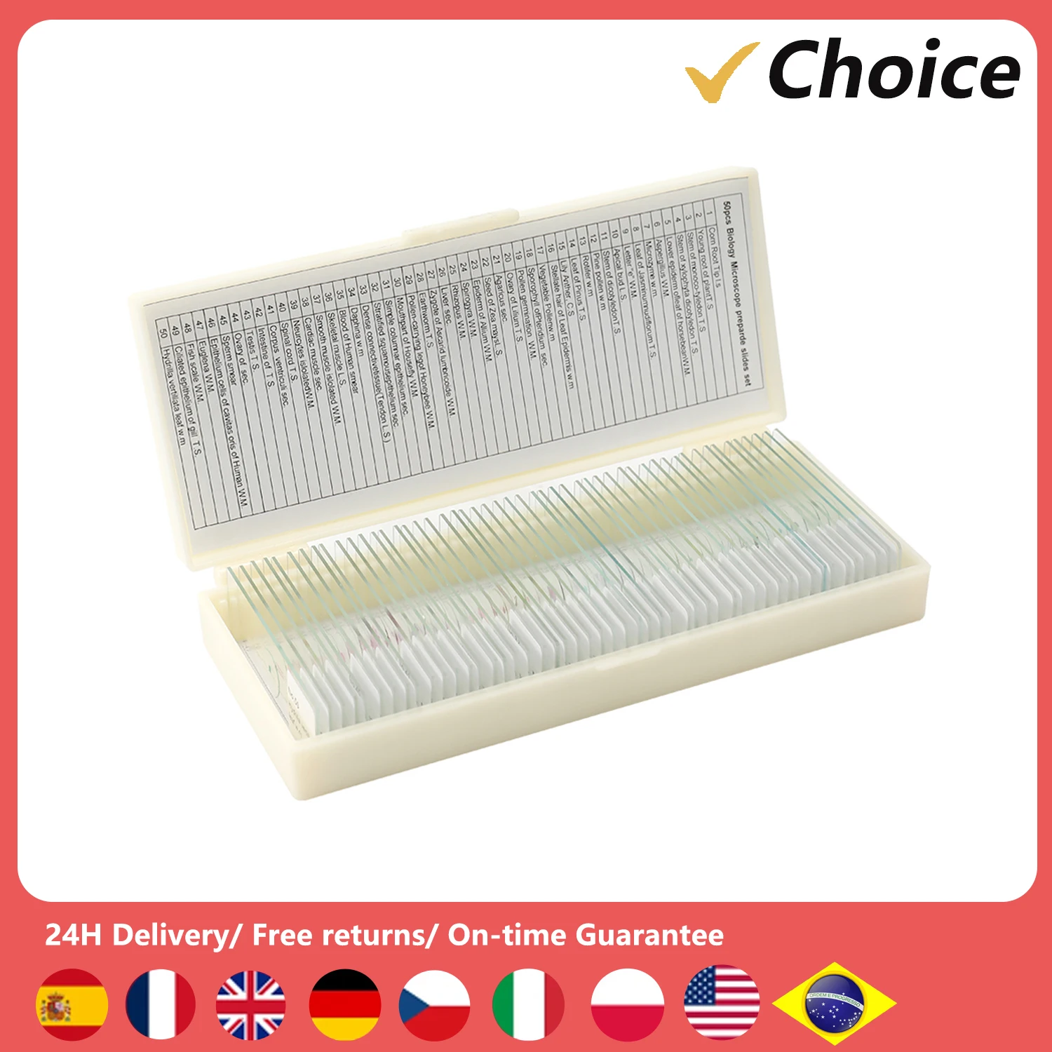 50PCS-Set-Biological-Glass-Sample-Prepared-Basic-Animal-Insects-Tissues ...