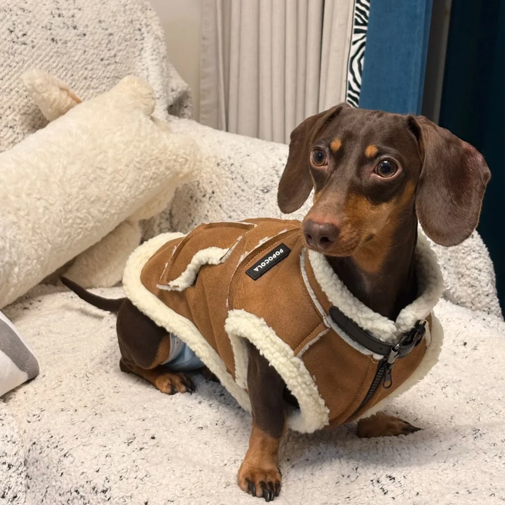 Winter Waistcoat with Fur for Sausage Dogs Warm Thick Vest Fashion ...