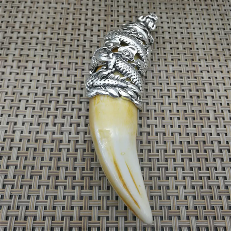 Chinese-Antique-Boars-Tooth-Wild-Hog-Silver-Dragon-Protective-Talisman ...