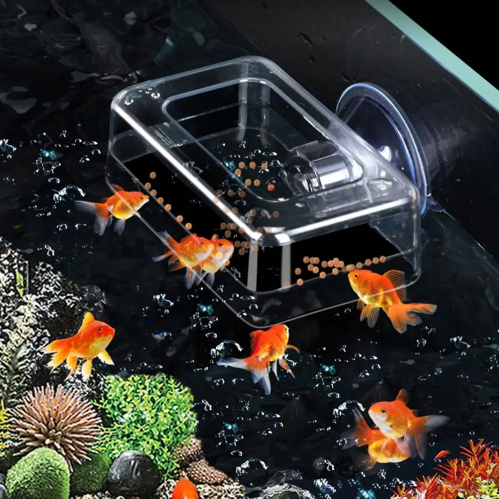 Aquarium-Feeding-Rings-Fish-Tank-Station-Floating-Food-Tray-Feeder ...