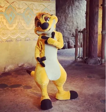 ChristmasThe-Lion-King-Timon-Mascot-Costume-Adult-Cartoon-Character ...