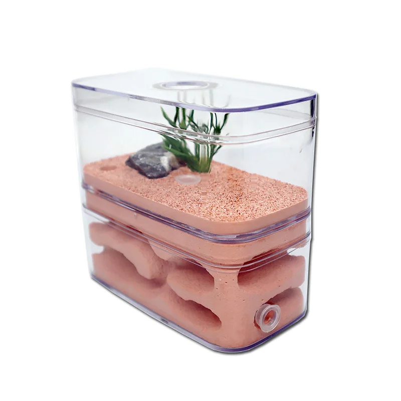 Highly Moisturizing Ant Farm Plaster Ant Nest Insect Box with Workshop ...