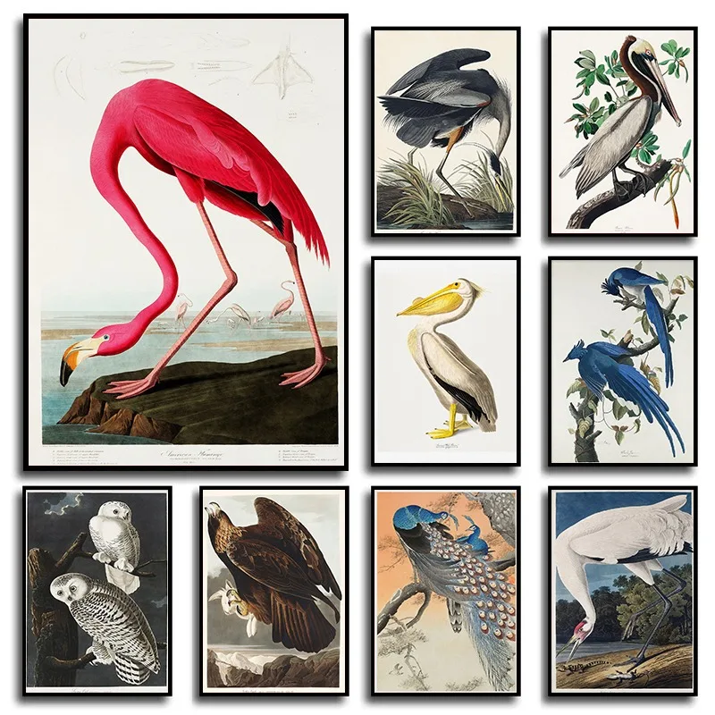 Vintage-Birds-of-America-Posters-Eagle-and-Peacock-Prints-Pintura-em ...
