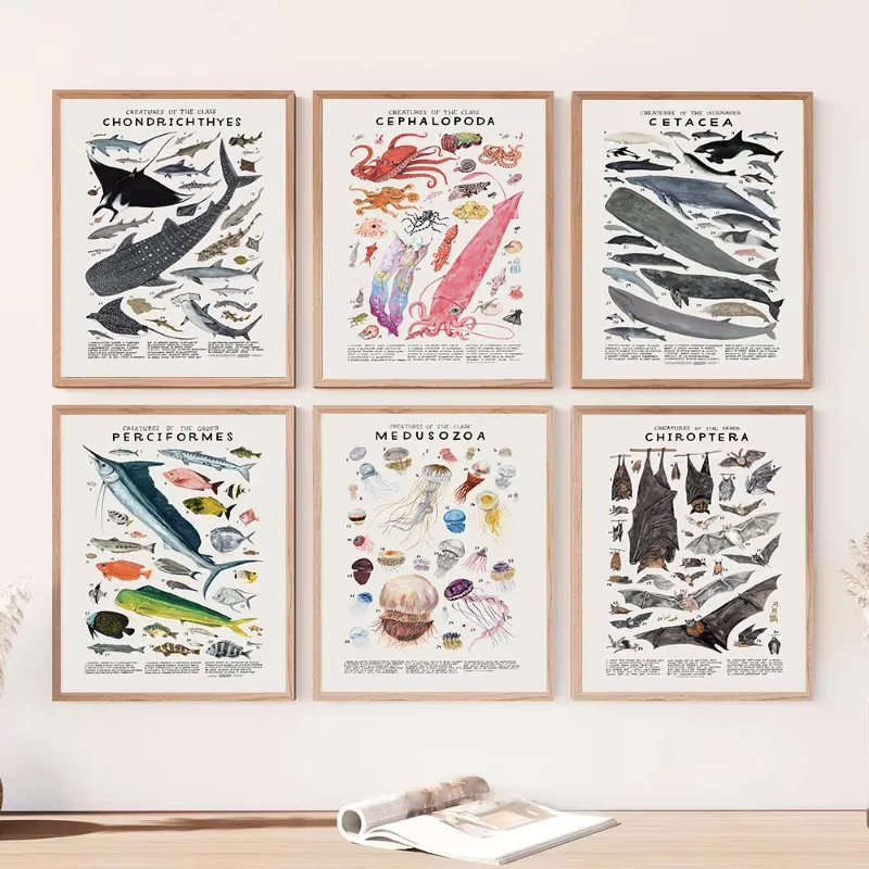 6pcs-Abstract-Modern-Sea-Life-Jellyfish-Whale-Squid-Fish-Poster-Canvas ...