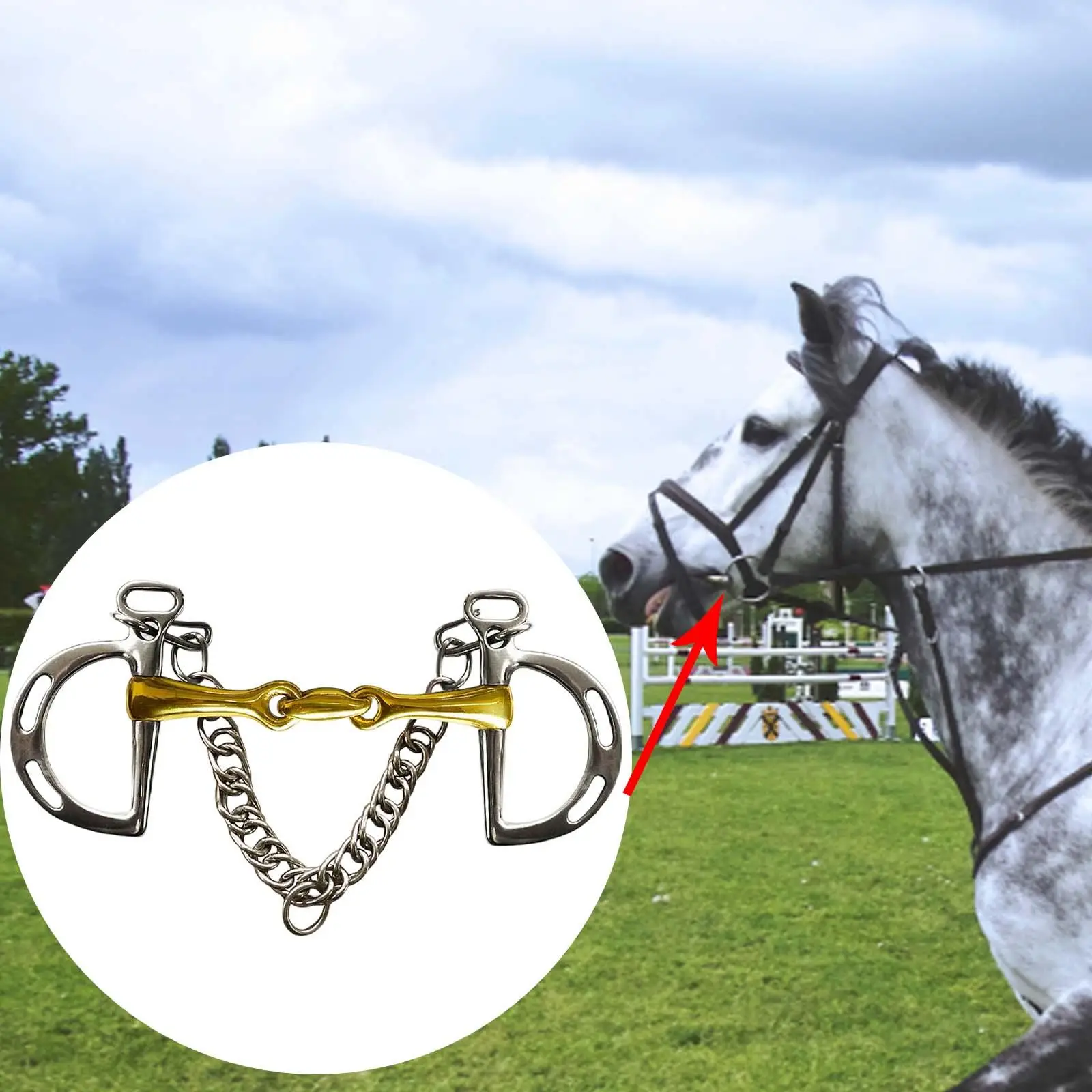 Curb Bit With Roller