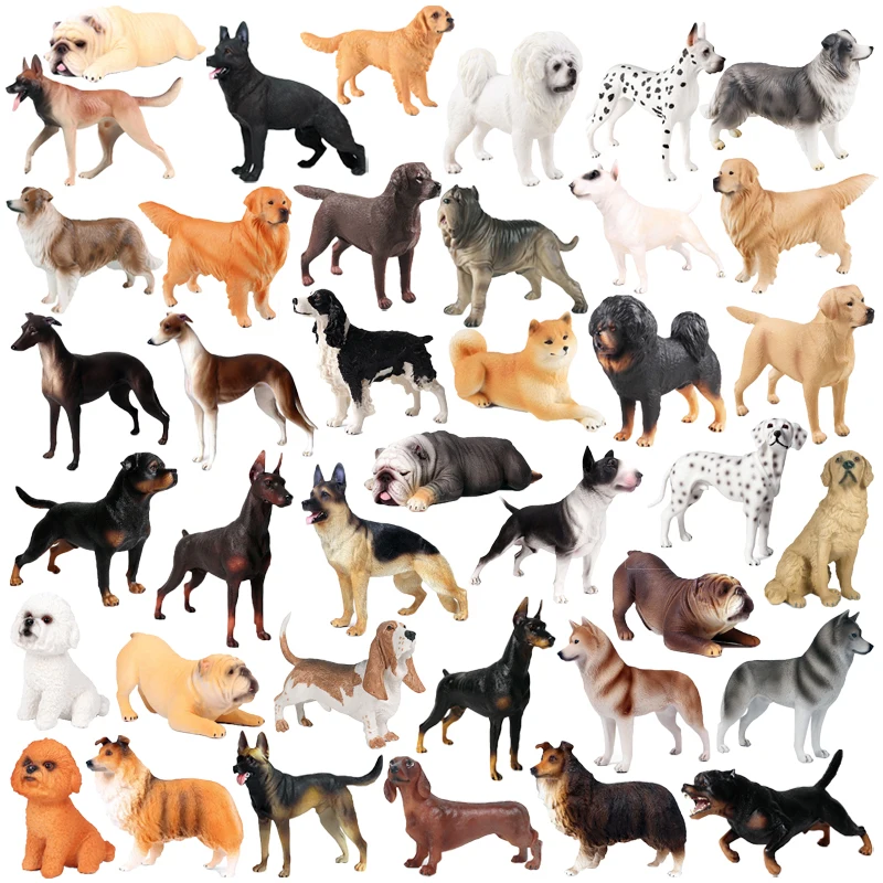 Figuras-de-acci-n-realistas-para-ni-os-juguetes-educativos-de-colecci-n ...