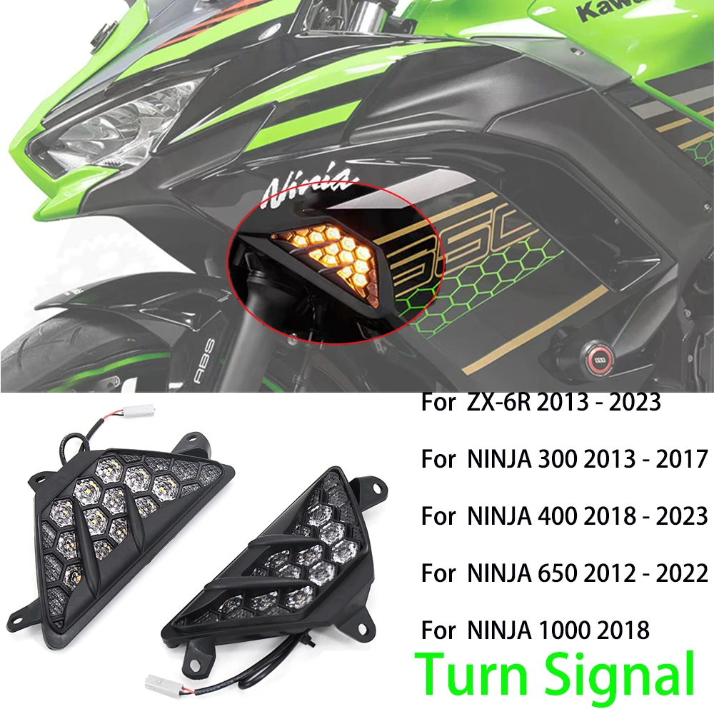Kawasaki Ninja 300 2022