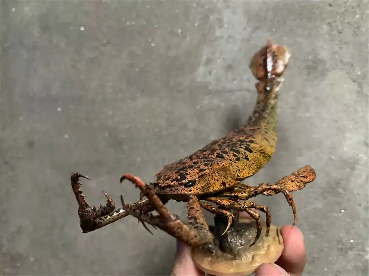 Jaekelopterus Sea Scorpion Rigged 3d Asset Cgtrader