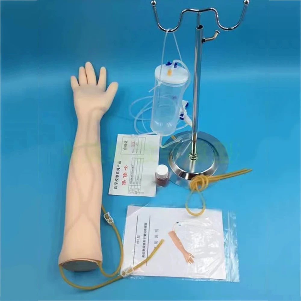 Life-Size-Anatomical-Phlebotomy-Venipuncture-Practice-Arm-Anatomy ...