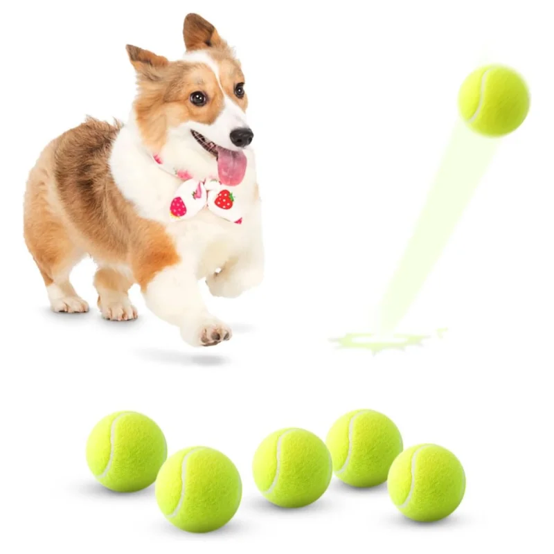 Se0ced6c40ff945e7a11e9bd1fd90bb6fH.png