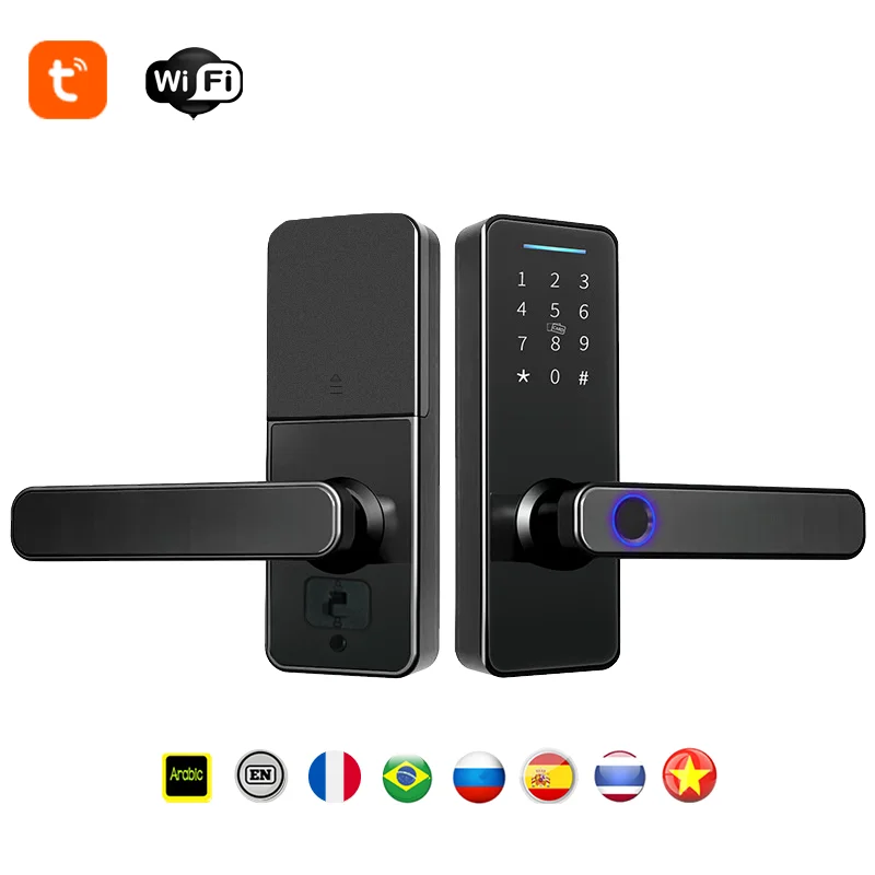 Tuya WiFi Smart Door Lock App Remote Unlocking Keyless Lock Electronic ...